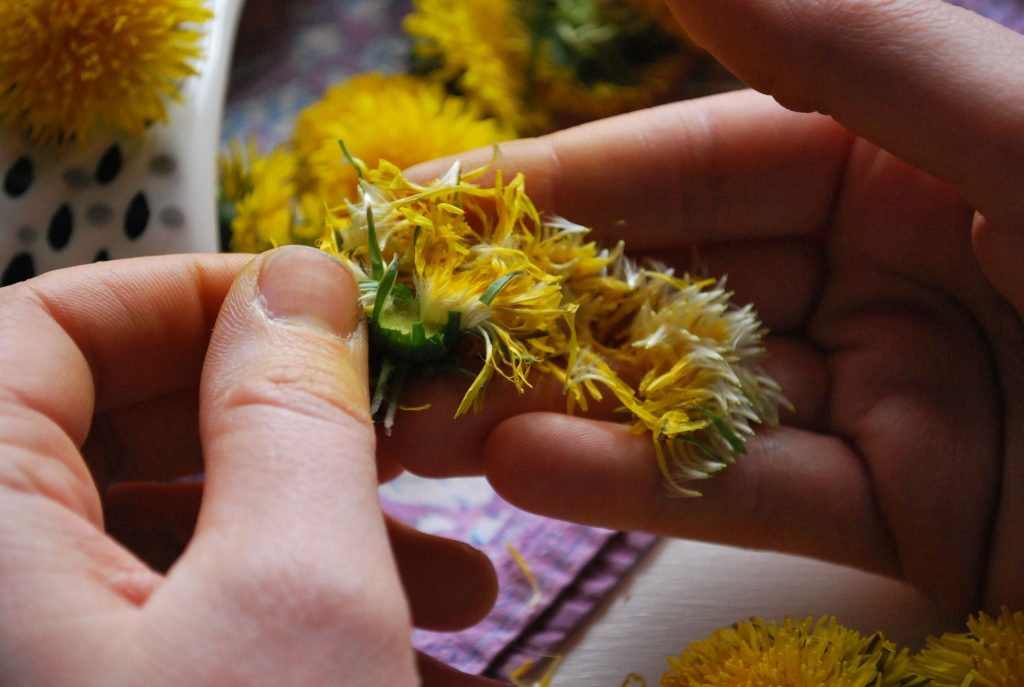 Celebrate spring with homemade dandelion jelly | indie herbalist