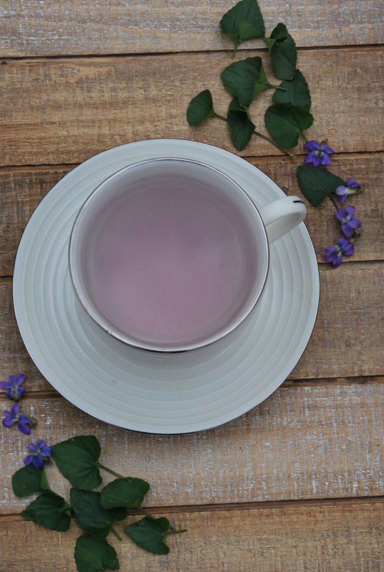 Beautiful blue tea with foraged violets | indie herbalist