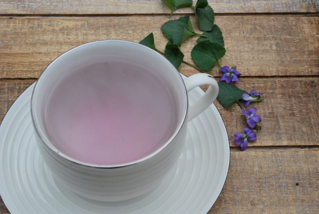 Beautiful blue tea with foraged violets | indie herbalist