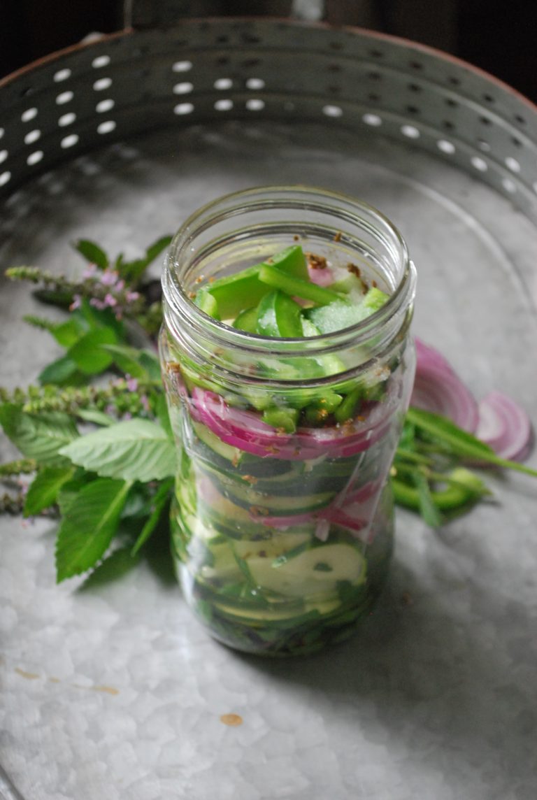 Tulsi Summer Quick Pickles Recipe | indie herbalist