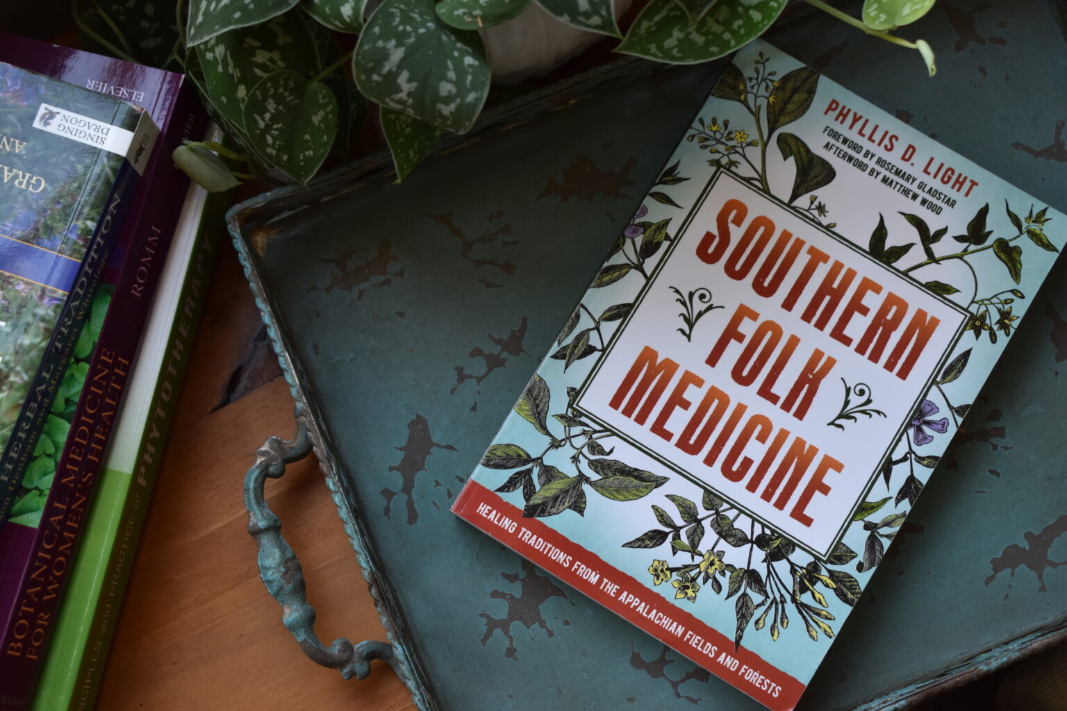 Southern Folk Medicine book review | indie herbalist