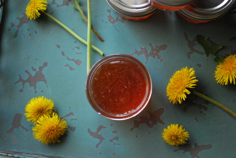 Celebrate spring with homemade dandelion jelly | indie herbalist