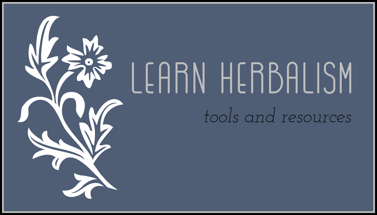 Coronavirus, Herbalism, and Pandemic Preparedness | indie herbalist