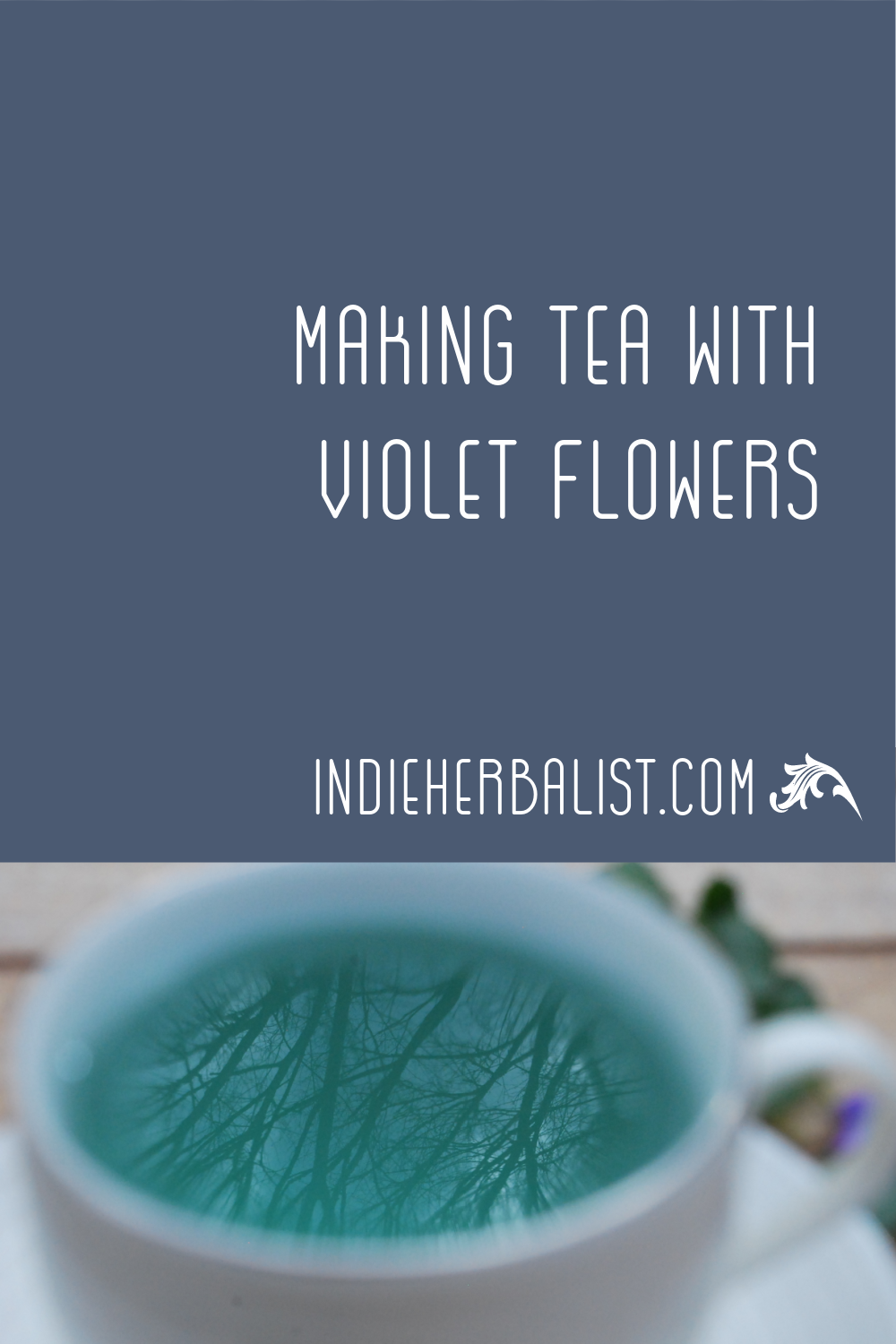 Beautiful blue tea with foraged violets | indie herbalist