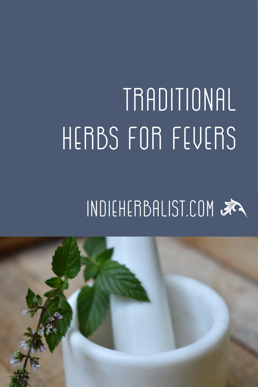 Understanding an herbal approach to fever | indie herbalist