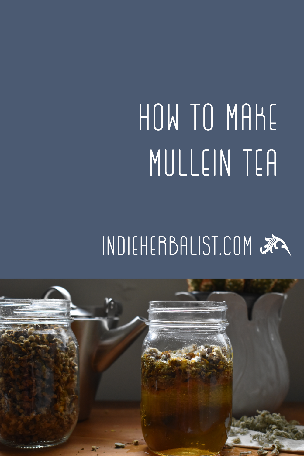 How to make mullein tea | indie herbalist