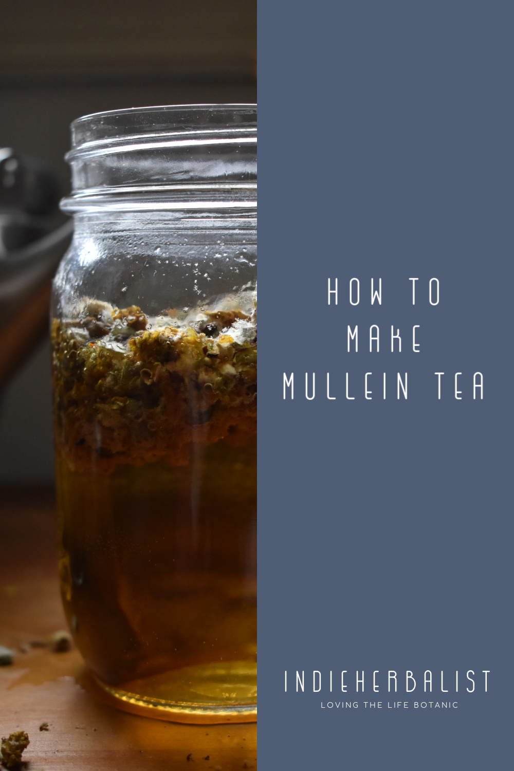 How to make mullein tea | indie herbalist