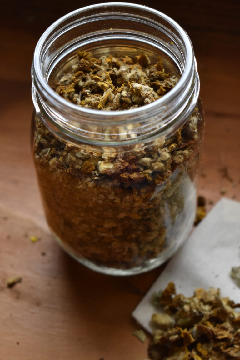 An herbalist's guide to mullein flowers + an infused oil recipe | indie ...