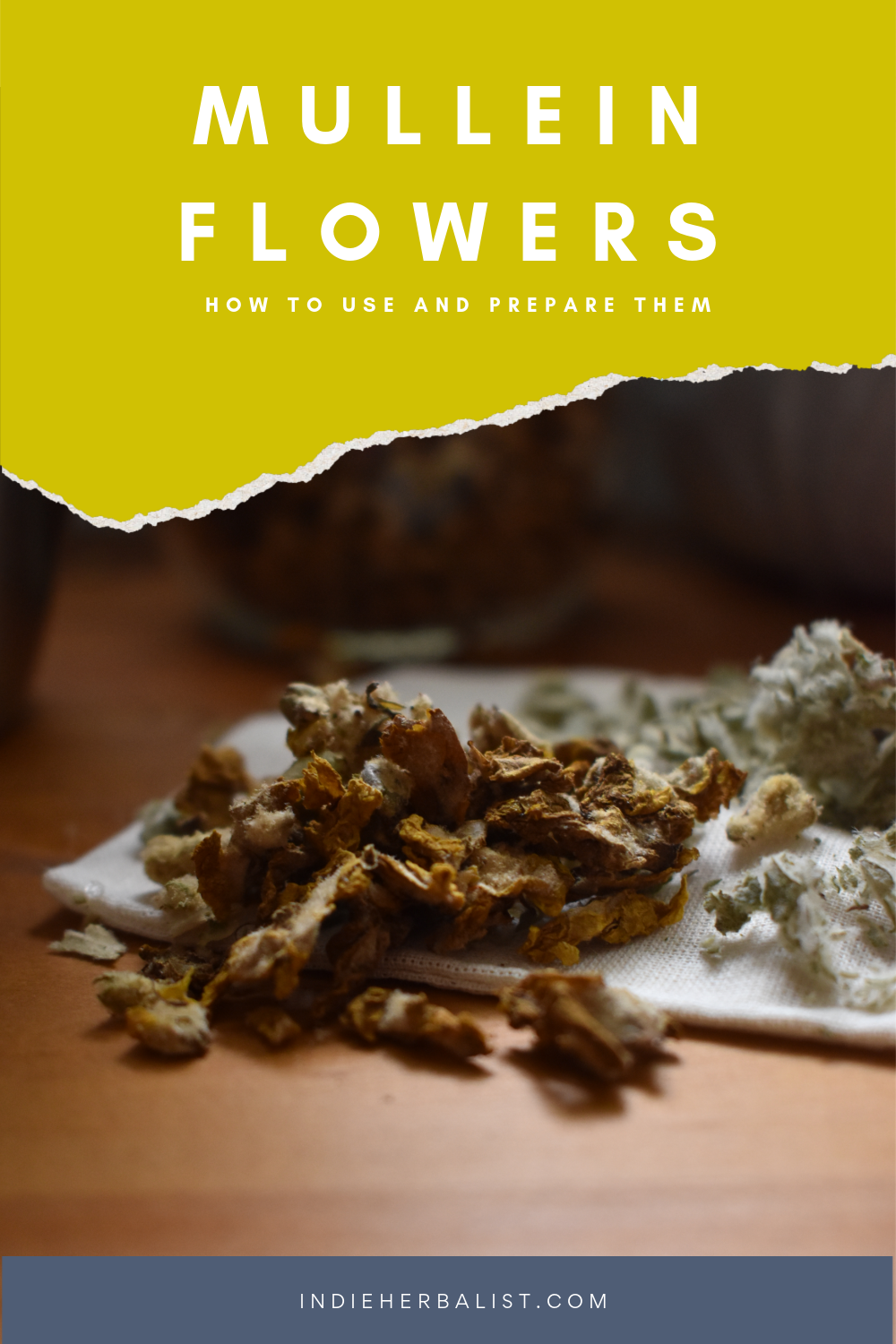 An herbalist's guide to mullein flowers + an infused oil recipe | indie ...
