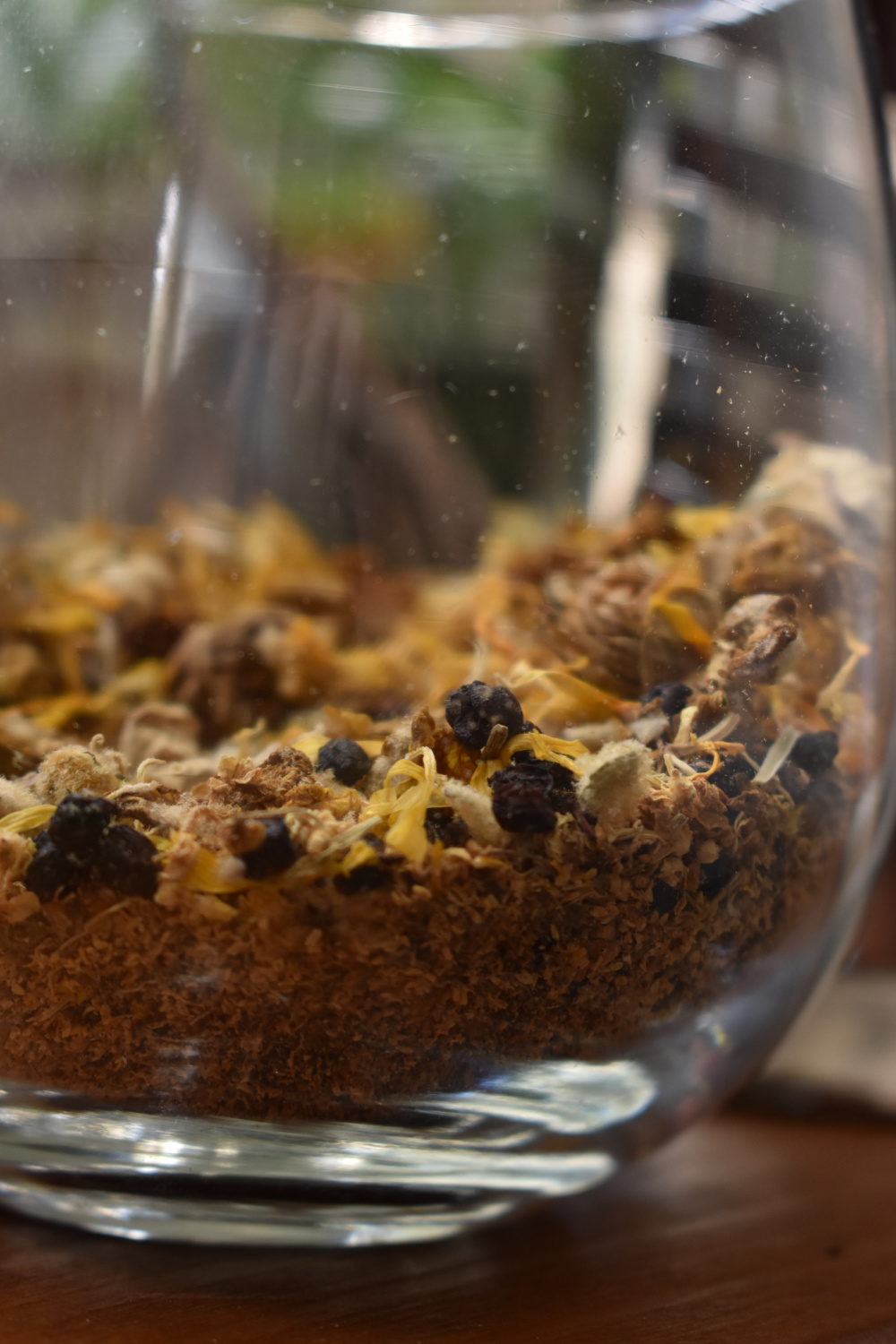 Mullein tea recipe with elderberry and calendula | indie herbalist