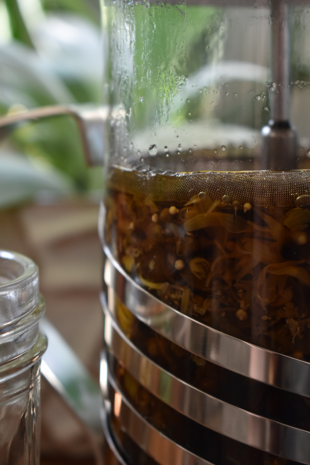 Mullein tea recipe with elderberry and calendula | indie herbalist