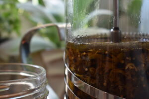 Mullein tea recipe with elderberry and calendula | indie herbalist