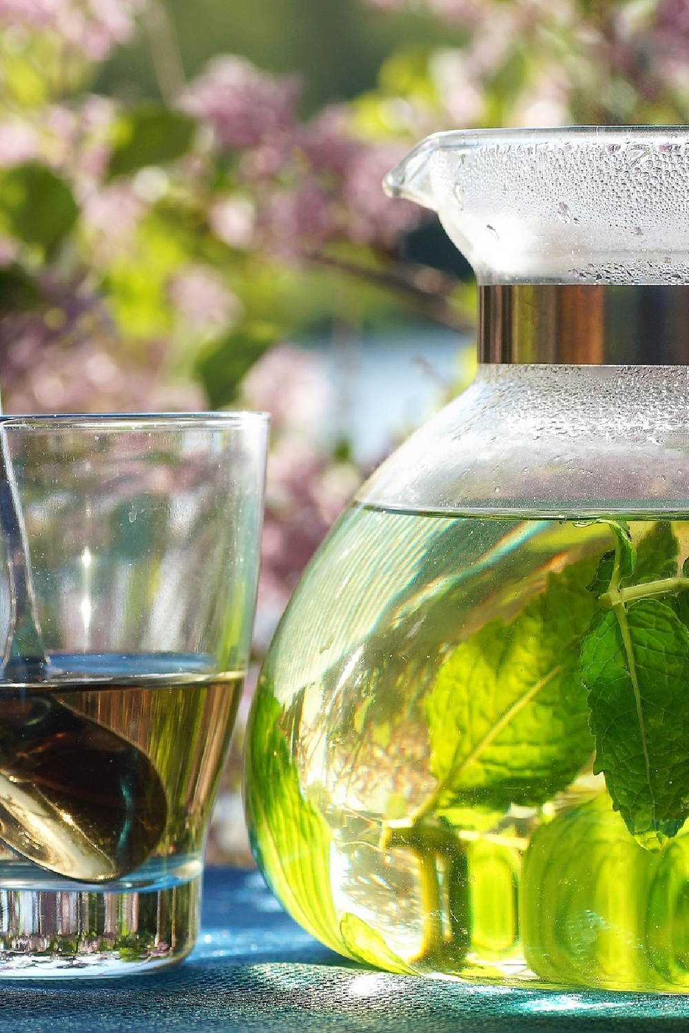 A guide to making herbal tea for new herbalists | indie herbalist