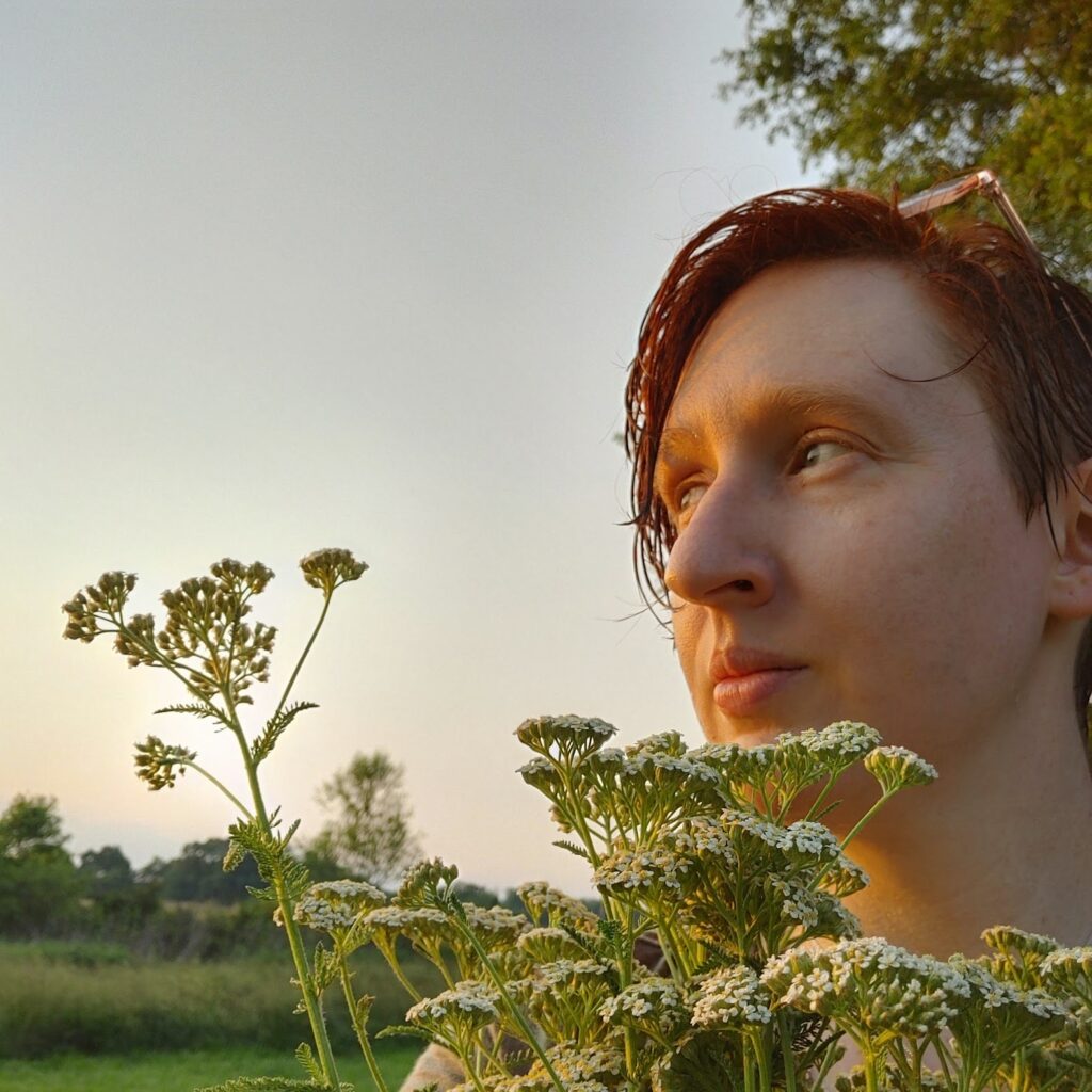 Drawing plants with the Botanical Drawing Course | indie herbalist