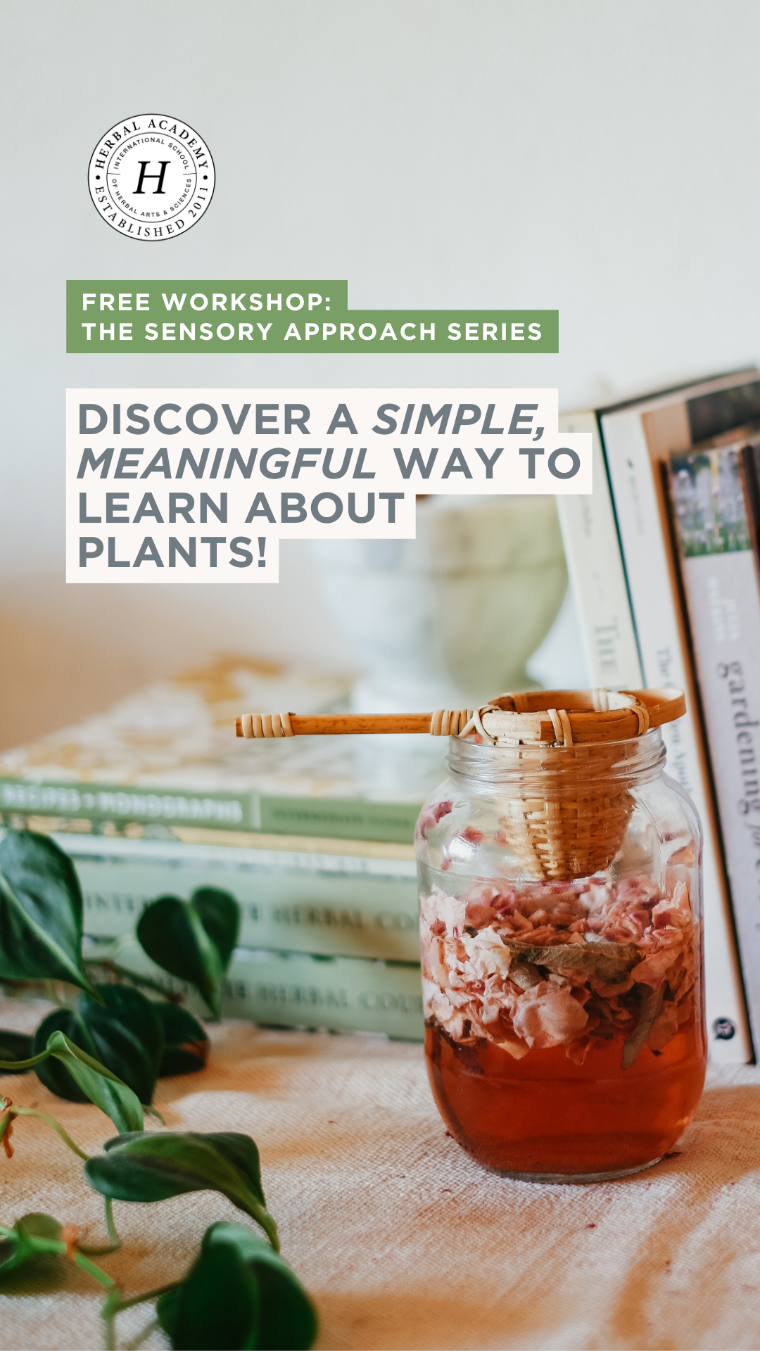 Sensory Approach to Herbalism: Free Workshop! | indie herbalist