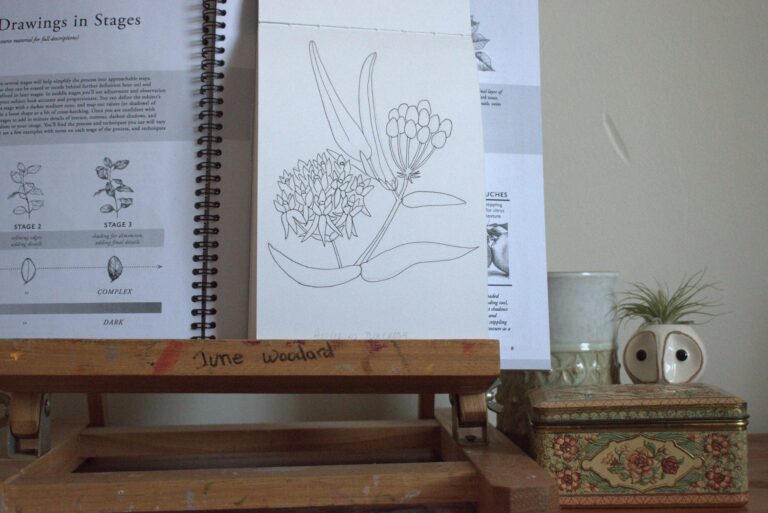 Drawing plants with the Botanical Drawing Course | indie herbalist